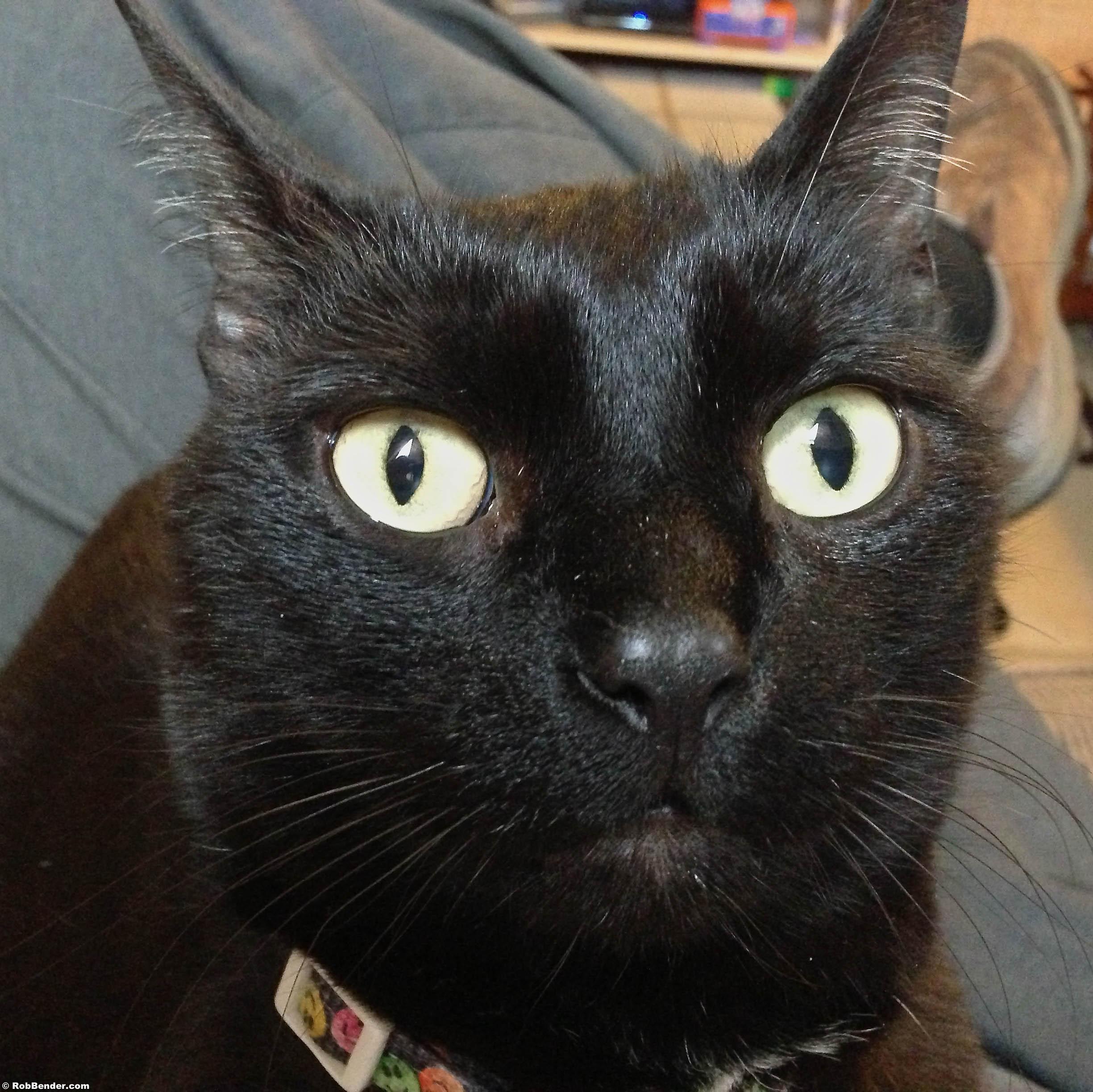 Remembering Grover | Rob Bender