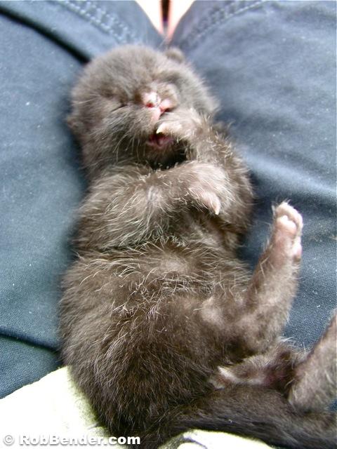 Remembering Grover | Rob Bender